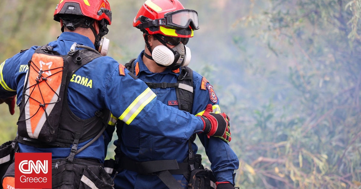«Σας ευχαριστούμε που παλεύετε με ψυχή και σώμα»: Ευγνωμοσύνη κατοίκων της Χίου στους ...