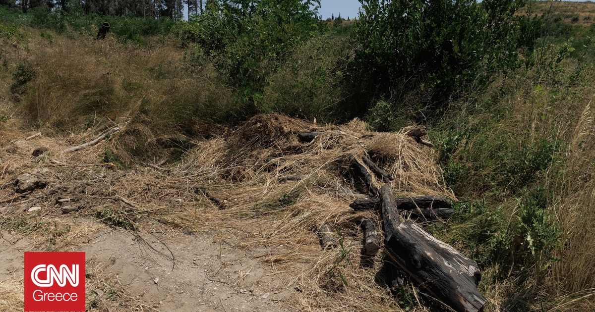 Διπλάσιες οι δηλώσεις καθαρισμών οικοπέδων από τις αρχές Ιουνίου - Πλησιάζουν τις 320.000 - CNN.gr