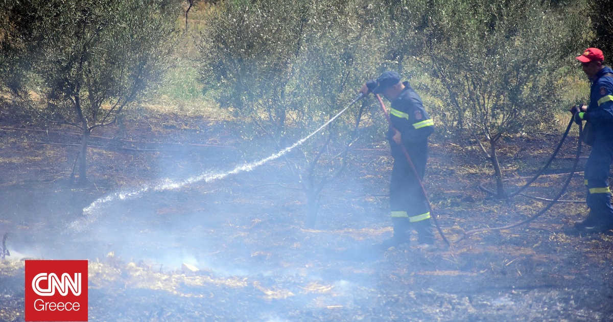 Φωτιά σε βιοτεχνία ανακύκλωσης στην Αλεξανδρούπολη - Μαύροι καπνοί ...