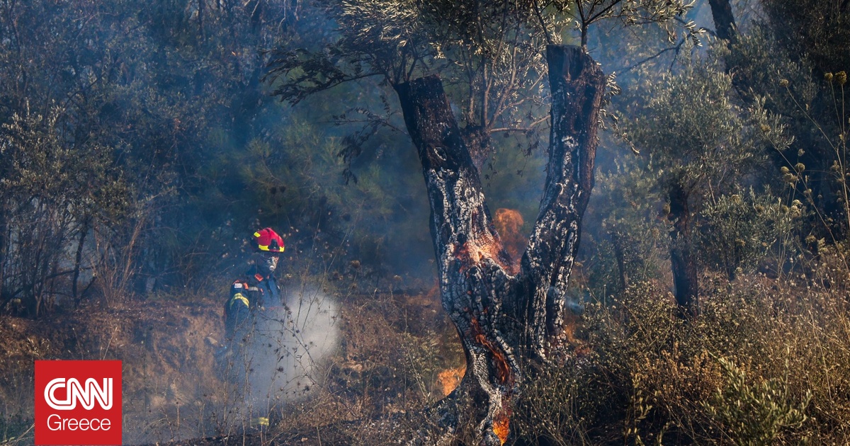 Σε εξέλιξη πυρκαγιά στη Βόνιτσα Αιτωλοακαρνανίας - Εστάλη μήνυμα του 112 - CNN.gr