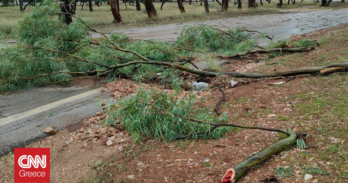 Προβλήματα ηλεκτροδότησης μετά από πτώση δέντρου στην Κηφισιά - CNN.gr