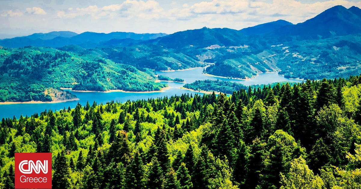 Γιατί «πεθαίνουν» τα πλατάνια και τα έλατα της Ελλάδας - Δείτε το ...