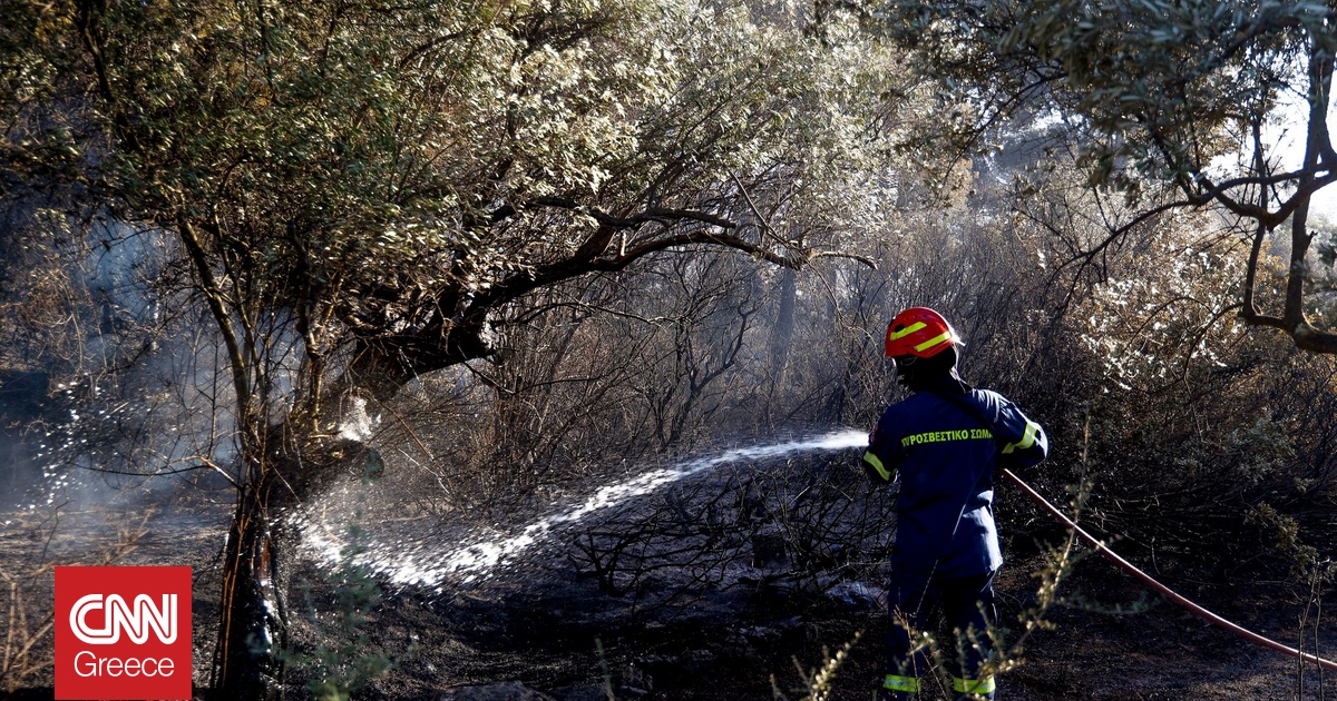 Πυρκαγιά σε δασική έκταση στην Αγρελιά Τρικάλων - CNN.gr
