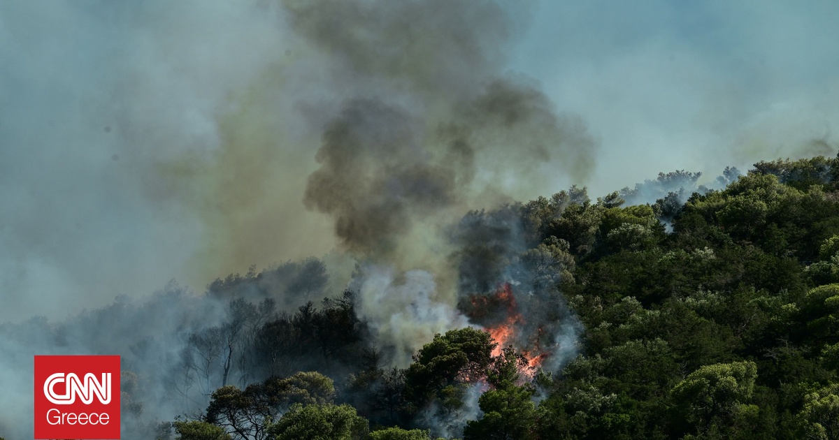 Συνελήφθη 52χρονος για την πυρκαγιά στα Μεσοχώρια Ευβοίας - CNN.gr