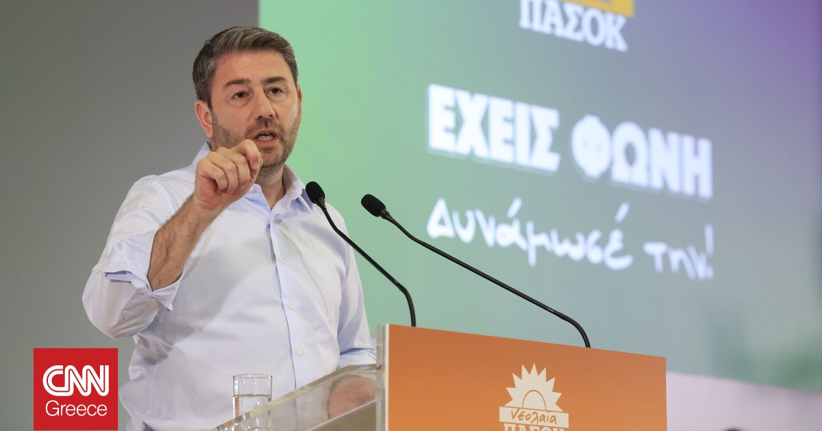 Ανδρουλάκης στη νεολαία ΠΑΣΟΚ: Μαζί μπορούμε να πετύχουμε την πολιτική ...