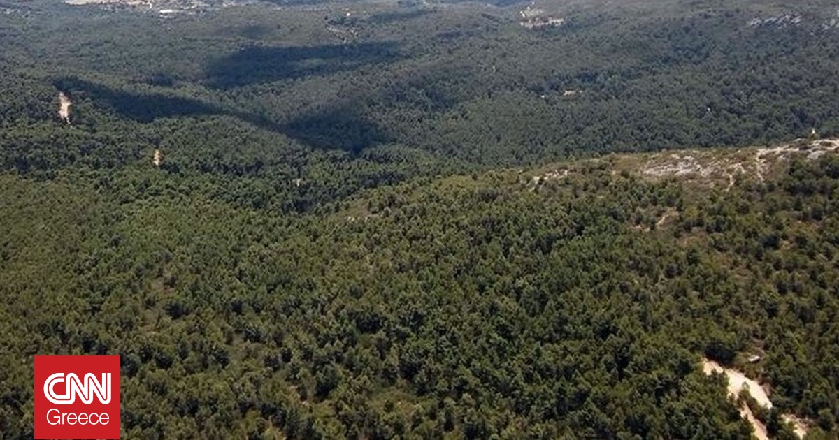 Θεσσαλονίκη: Απαγόρευση κυκλοφορίας σε τέσσερις διασικές περιοχές λόγω ...