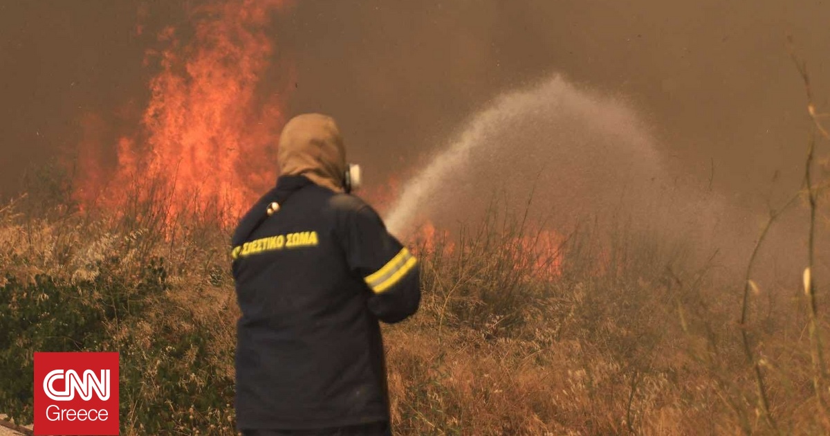 Φωτιά σε δασική έκταση στην Καστοριά στην περιοχή Μακροχώρι - CNN.gr