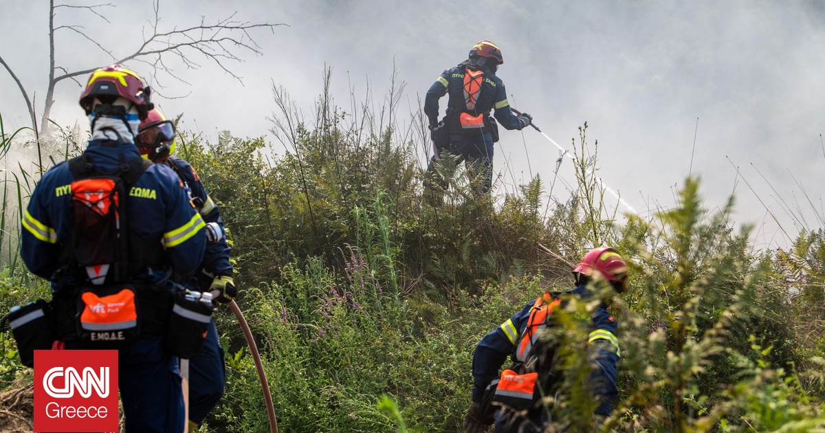 Φωτιά ξέσπασε σε δασική έκταση στην Καρδίτσα - Επιχειρούν δυνάμεις της ...