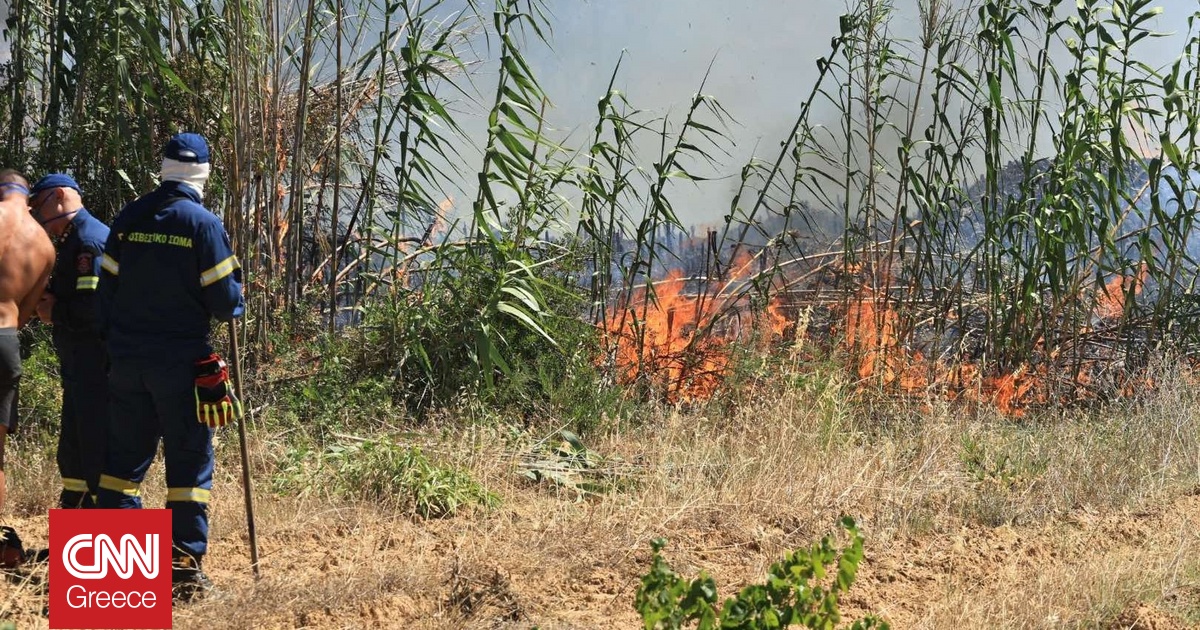 Φωτιά σε αγροτική περιοχή στο Κιλκίς - Ήχησε προειδοποιητικό μήνυμα 112 - CNN.gr