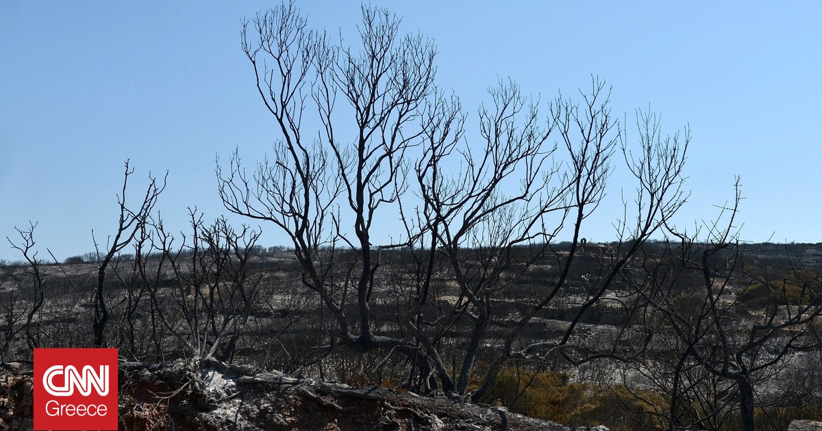 Αναζωπύρωση της φωτιάς στα Κύθηρα - Νέα μηνύματα από το 112 - CNN.gr