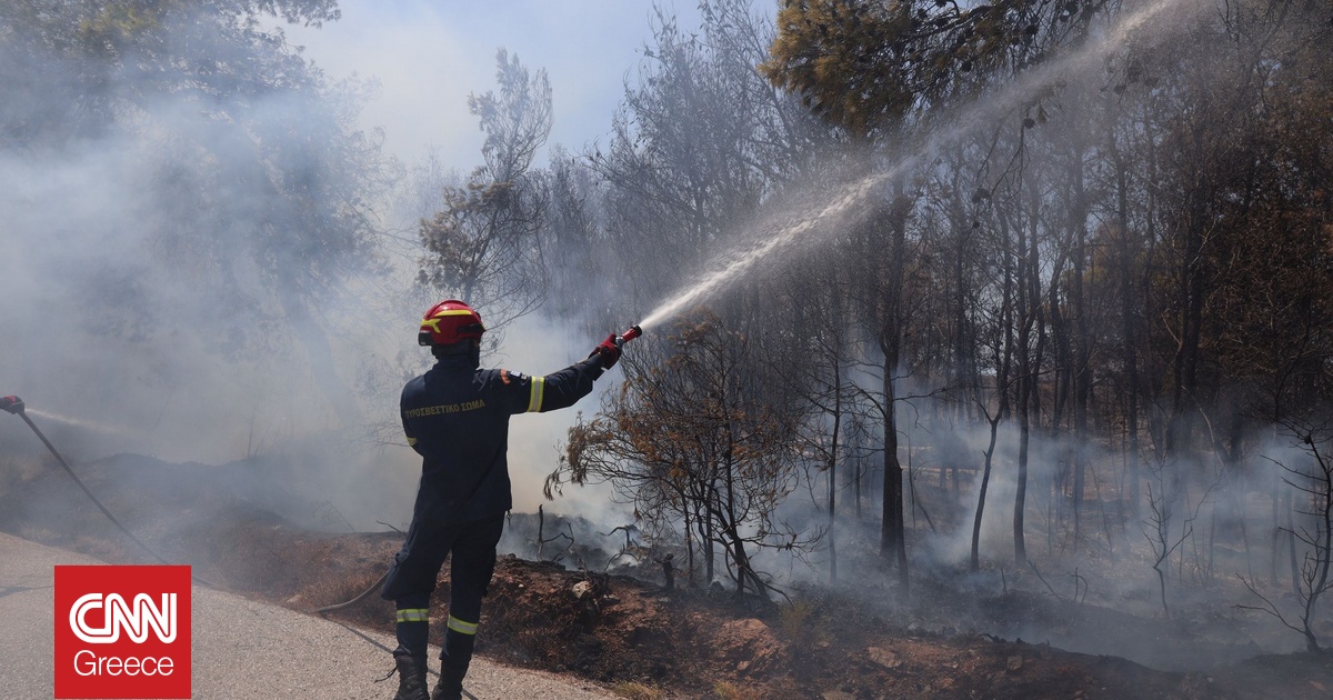 Φωτιά στην Κομοτηνή: Επιχειρούν επίγειες δυνάμεις - Ηχησε το 112 - CNN.gr