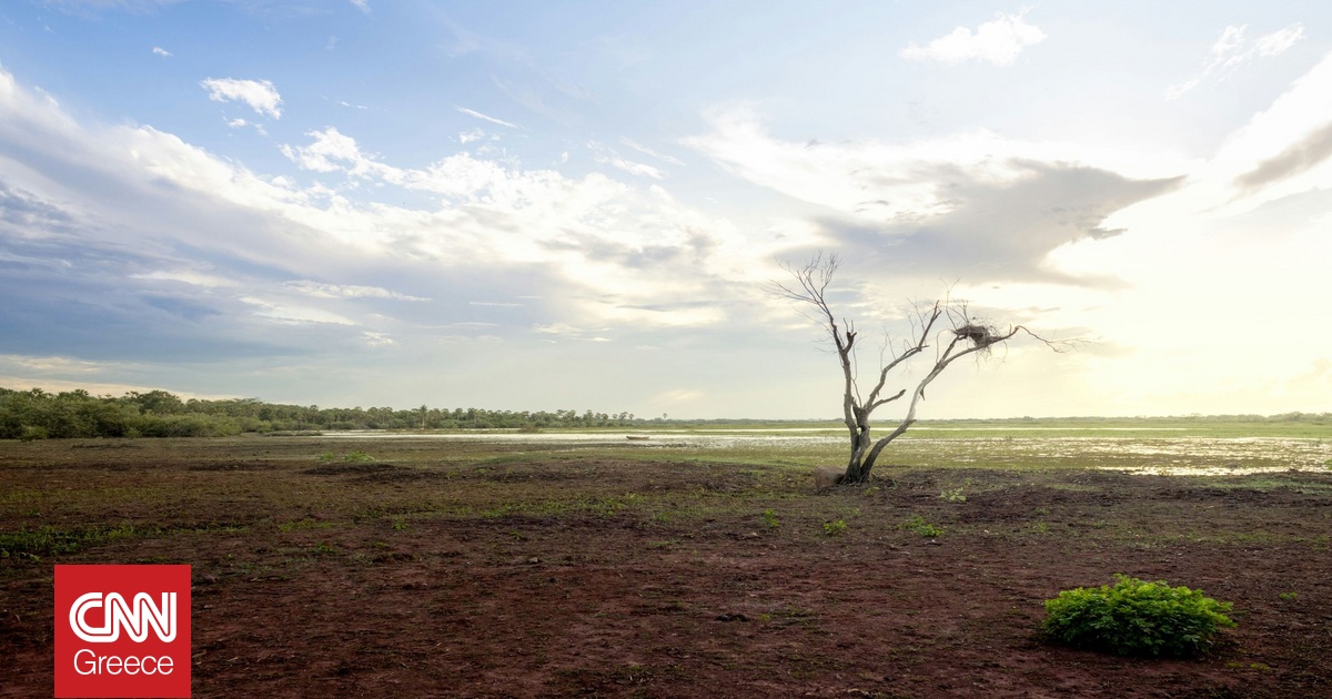 COP30: Ο Αμαζόνιος υποδέχεται τη διάσκεψη του ΟΗΕ για την Κλιματική Αλλαγή - CNN.gr