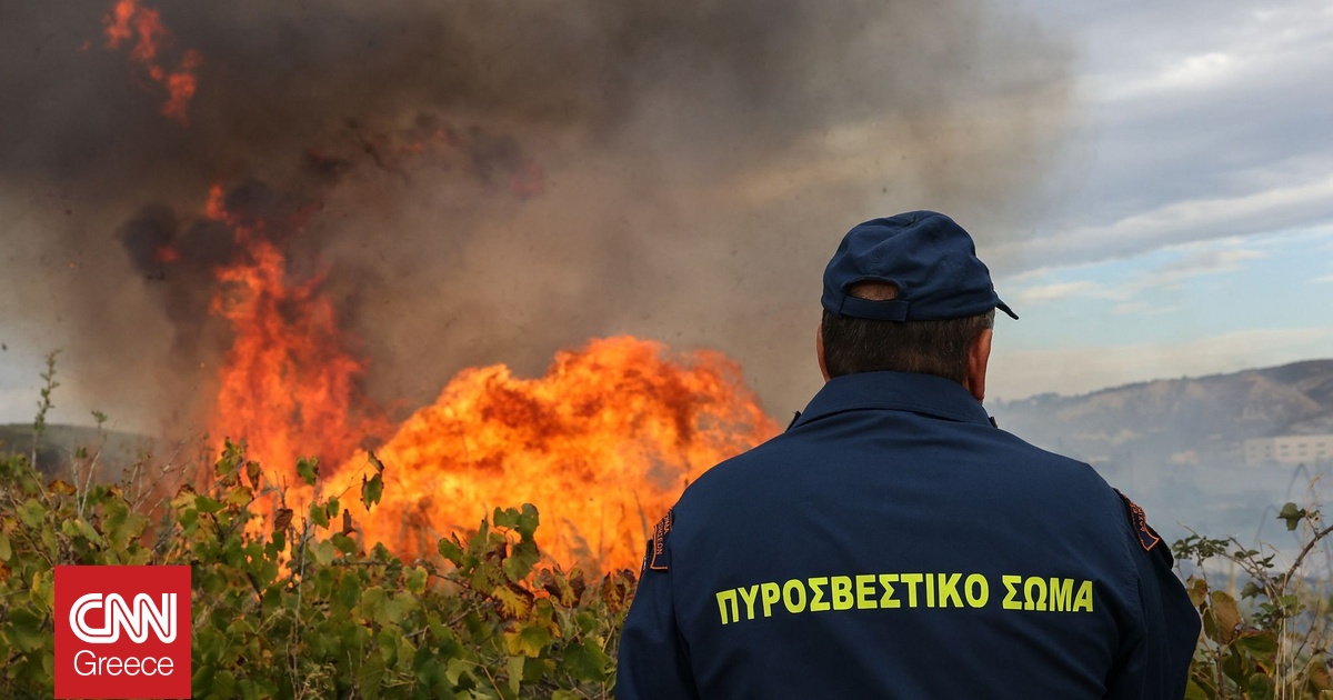 Φωτιά σε πτηνοτροφική μονάδα στην Αχαΐα - Αναφορές για εκρήξεις - CNN.gr