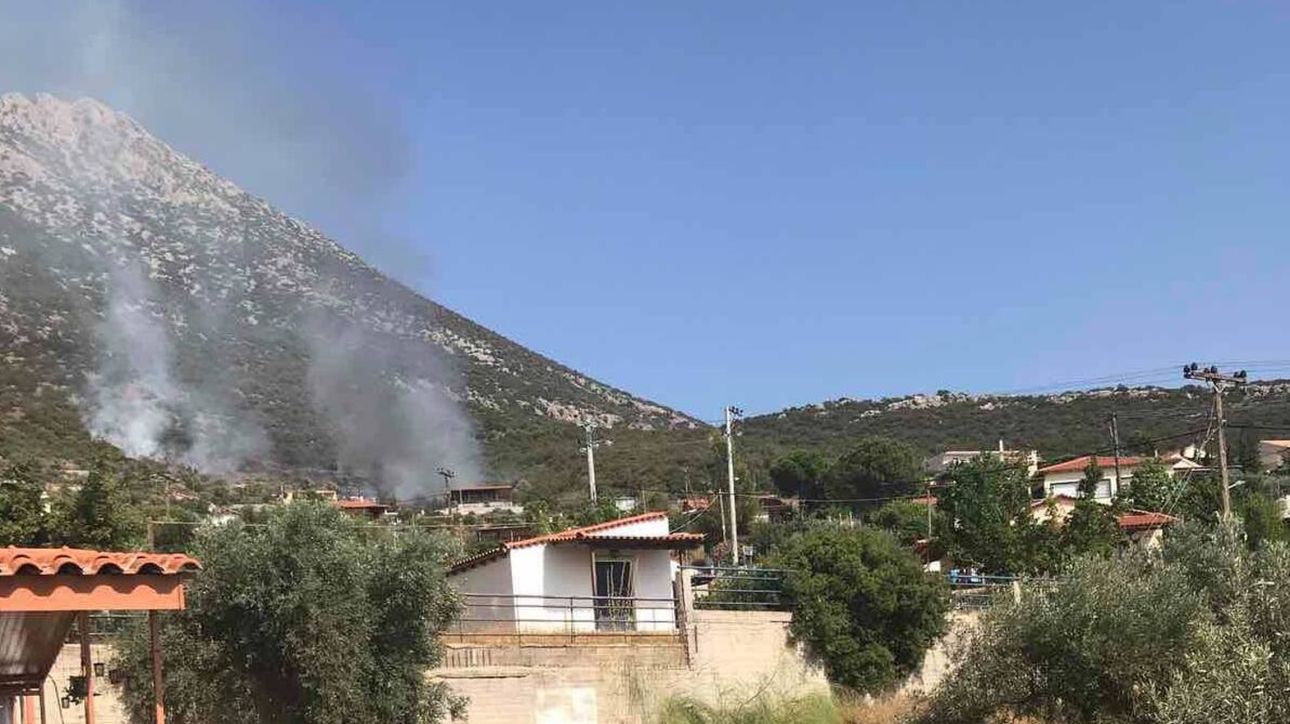 Φωτιά τώρα στην Αλυκή Θήβας: Ισχυρή δύναμη της πυροσβεστικής στην ...