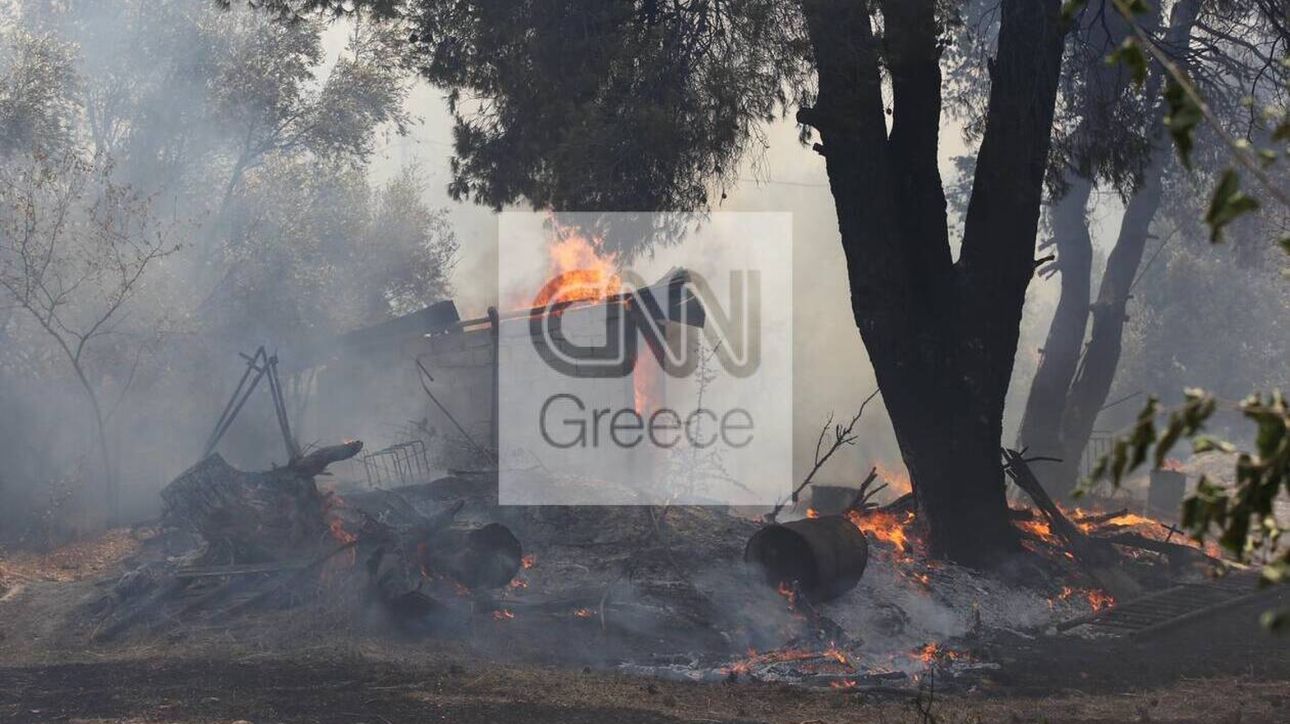 Φωτιά στη Σταμάτα: Στα χέρια των Αρχών 63χρονος μελισσοκόμος - CNN.gr