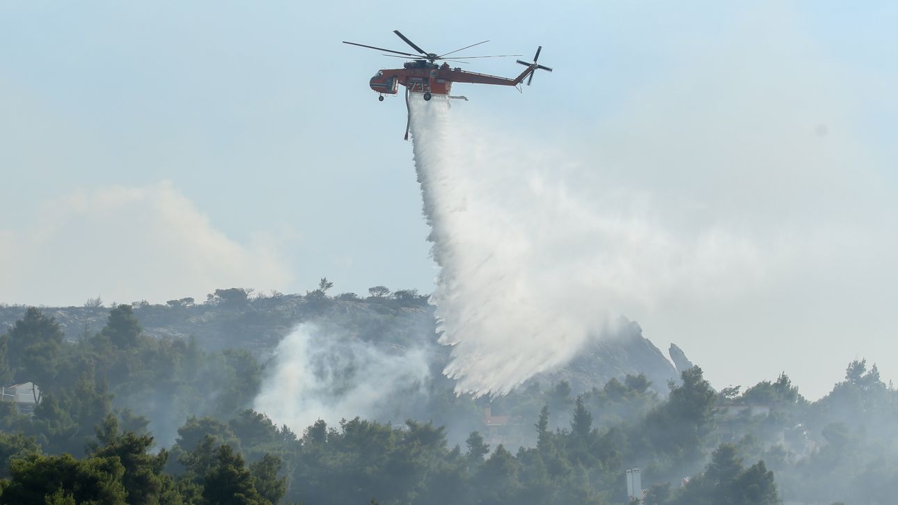 Χαλκιδική: Μεγάλη φωτιά σε δύσβατη περιοχή, επιχειρούν και εναέρια μέσα ...