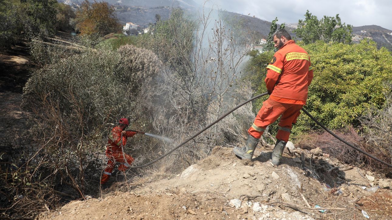 Φωτιά στη Χαλκιδική: Σε ύφεση το μέτωπο της πυρκαγιάς - «Μάχη» για τις ...