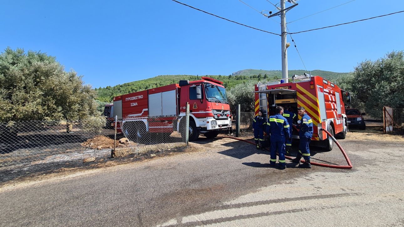 Φωτιά στον Ασπρόπυργο Αττικής: Επί ποδός η Πυροσβεστική - CNN.gr
