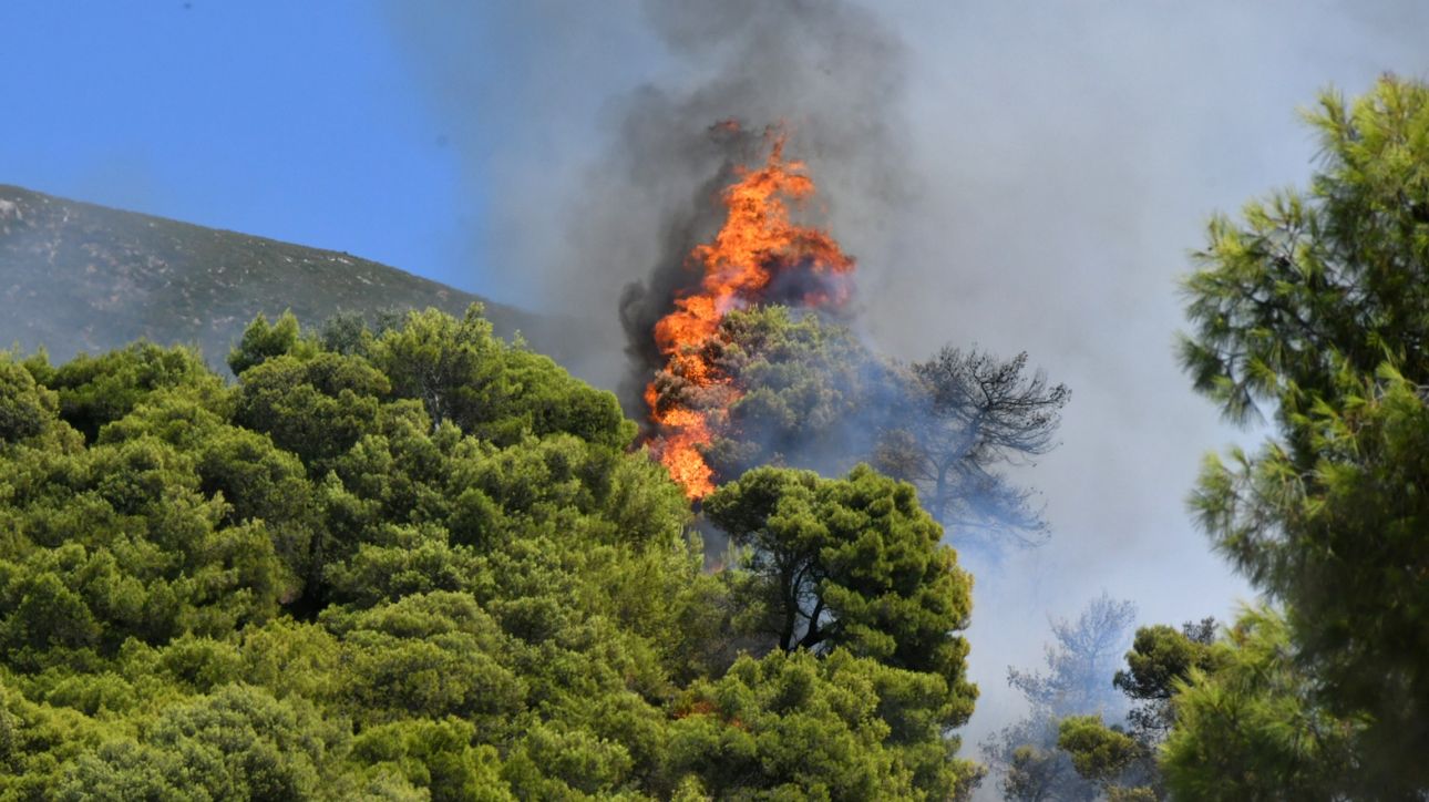 Πάτρα: Σε πλήρη εξέλιξη η φωτιά στην Καλλιθέα - Συνελήφθη ένα άτομο για ...