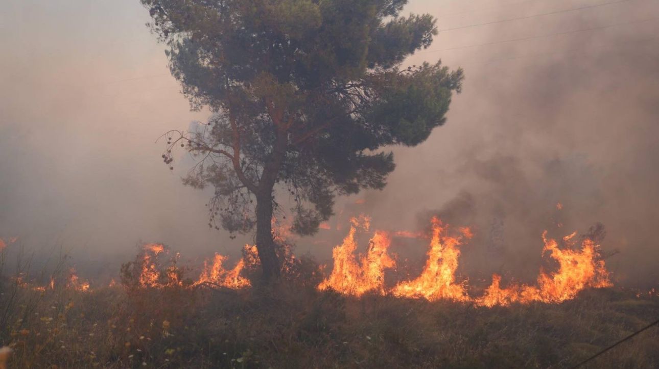 Οι Ένοπλες Δυνάμεις συμμετέχουν στις επιχειρήσεις πυρόσβεσης στην ...