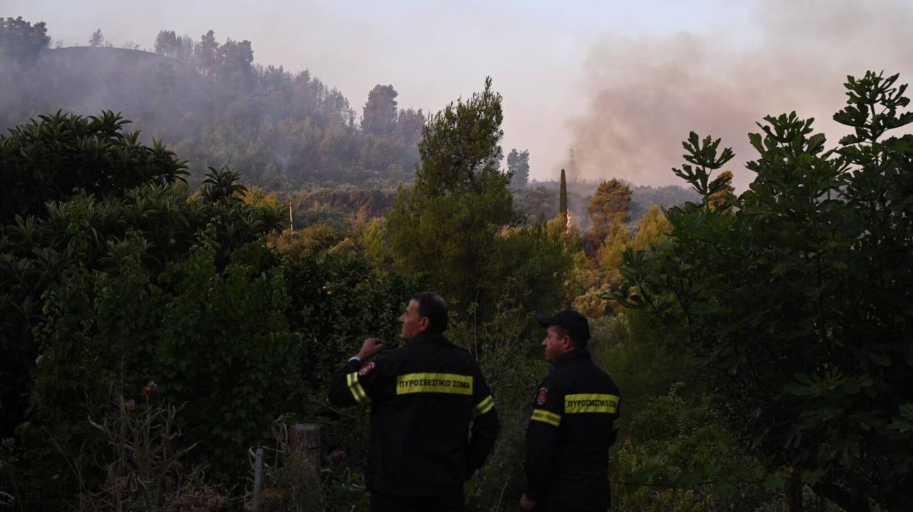 Πολύ υψηλός κίνδυνος πυρκαγιάς σήμερα για Αττική και Στερεά Ελλάδα - CNN.gr