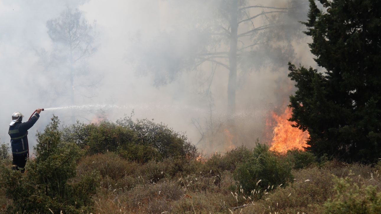 Φωτιά στο Σέιχ Σου στη Θεσσαλονίκη: Μεγάλη κινητοποίηση της ...