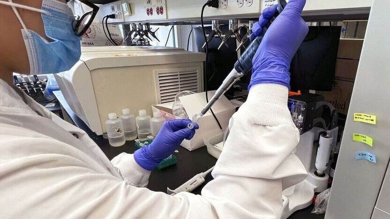 Ευλογιά των πιθήκων: Καταγράφηκε νέο κρούσμα στην Ελλάδα - Τι λέει το ...