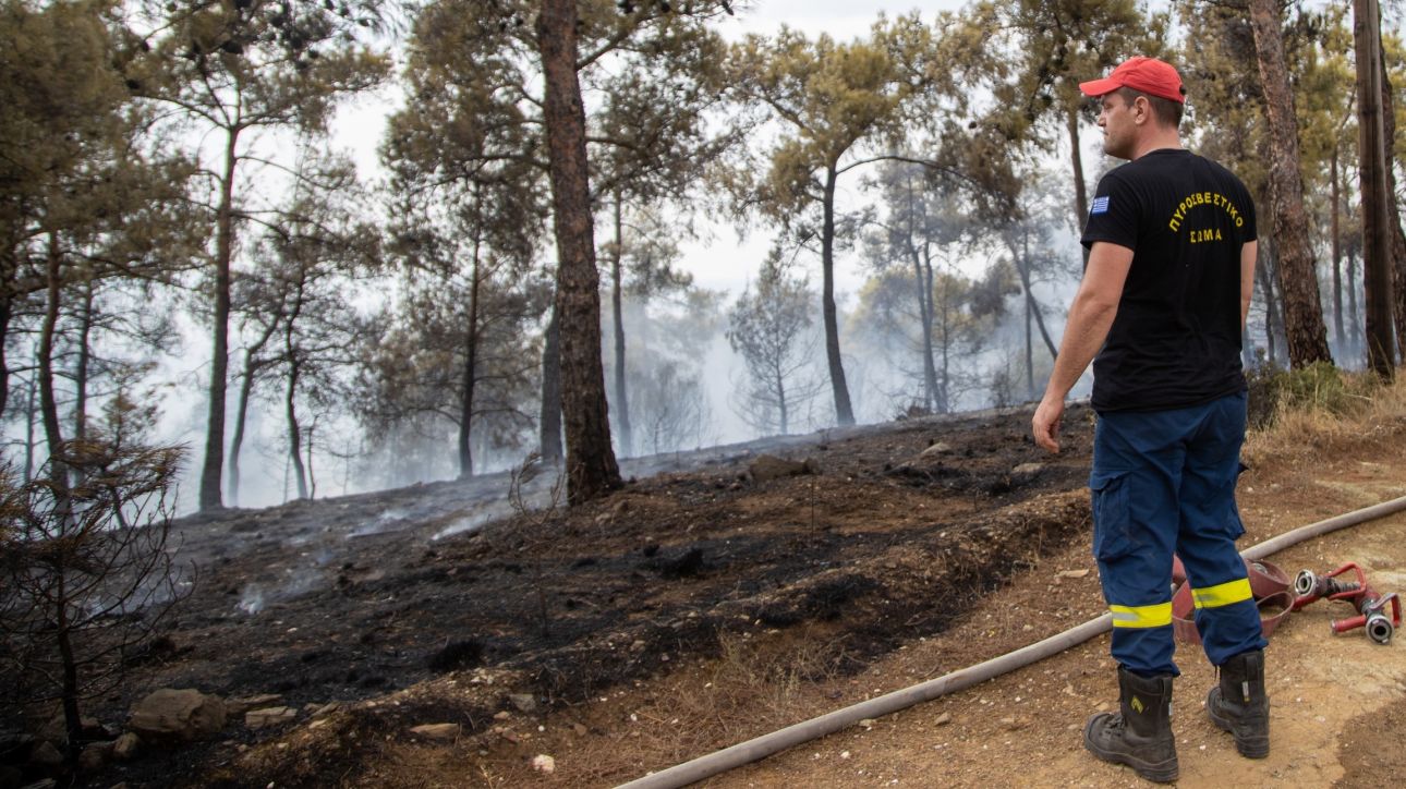 Αστεροσκοπείο: Στη μάχη για την πρόληψη των δασικών πυρκαγιών και η ...