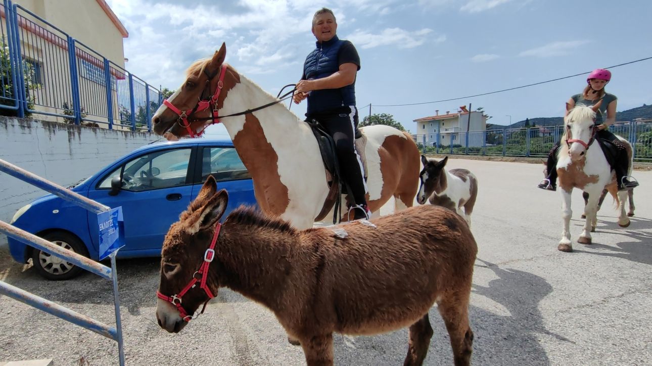 Τα παράξενα των εκλογών: Οι νεόνυμφοι, τα γαΐδουράκια, τα άλογα και τα ...