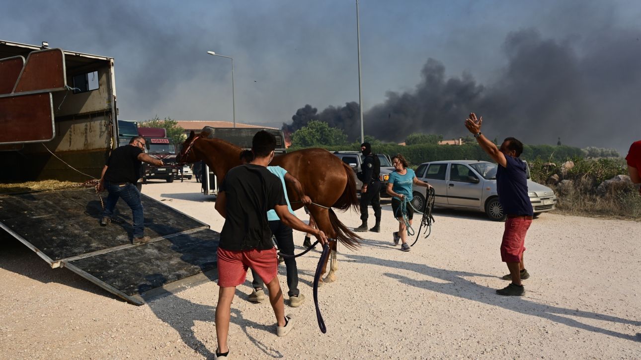 Εκκενώνεται ο ιππικός όμιλος στην Ανάβυσσο - Τρομοκρατημένα τα άλογα ...
