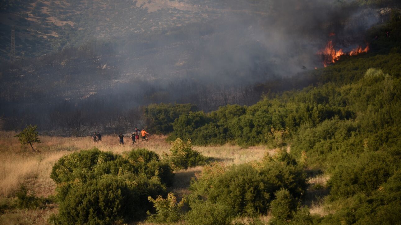 Φωτιά σε Τρίπολη και Σέρρες: Συναγερμός στην Πυροσβεστική - CNN.gr