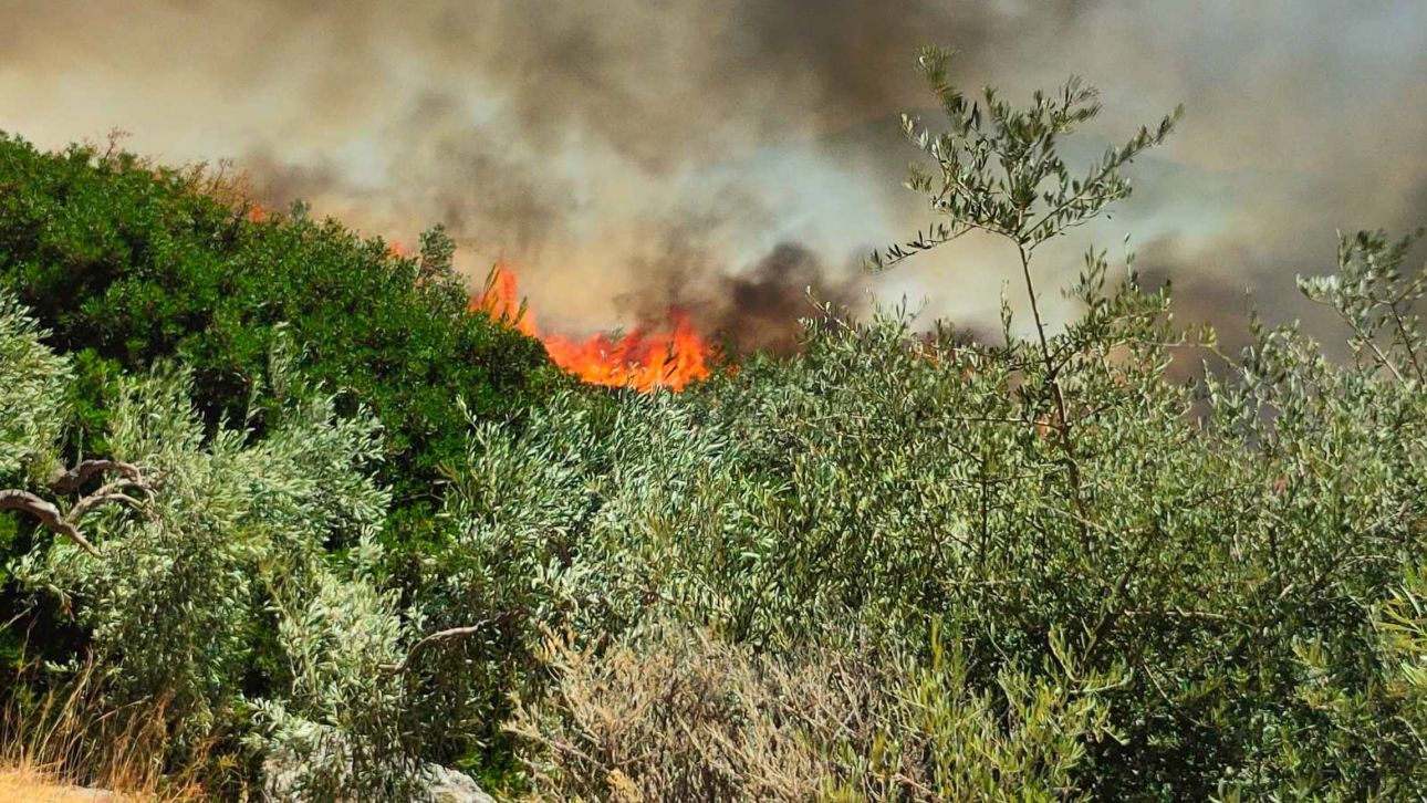 Φωτιά στην Αλεξανδρούπολη: Νέο μήνυμα του 112 για εκκένωση στη ...