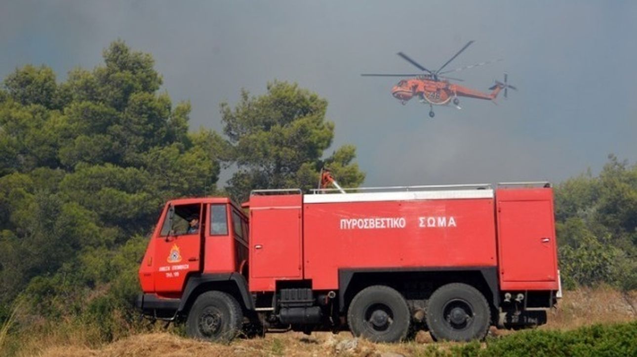 Δύο πυρκαγιές στην Άνδρο - Άμεση κινητοποίηση της Πυροσβεστικής - CNN.gr