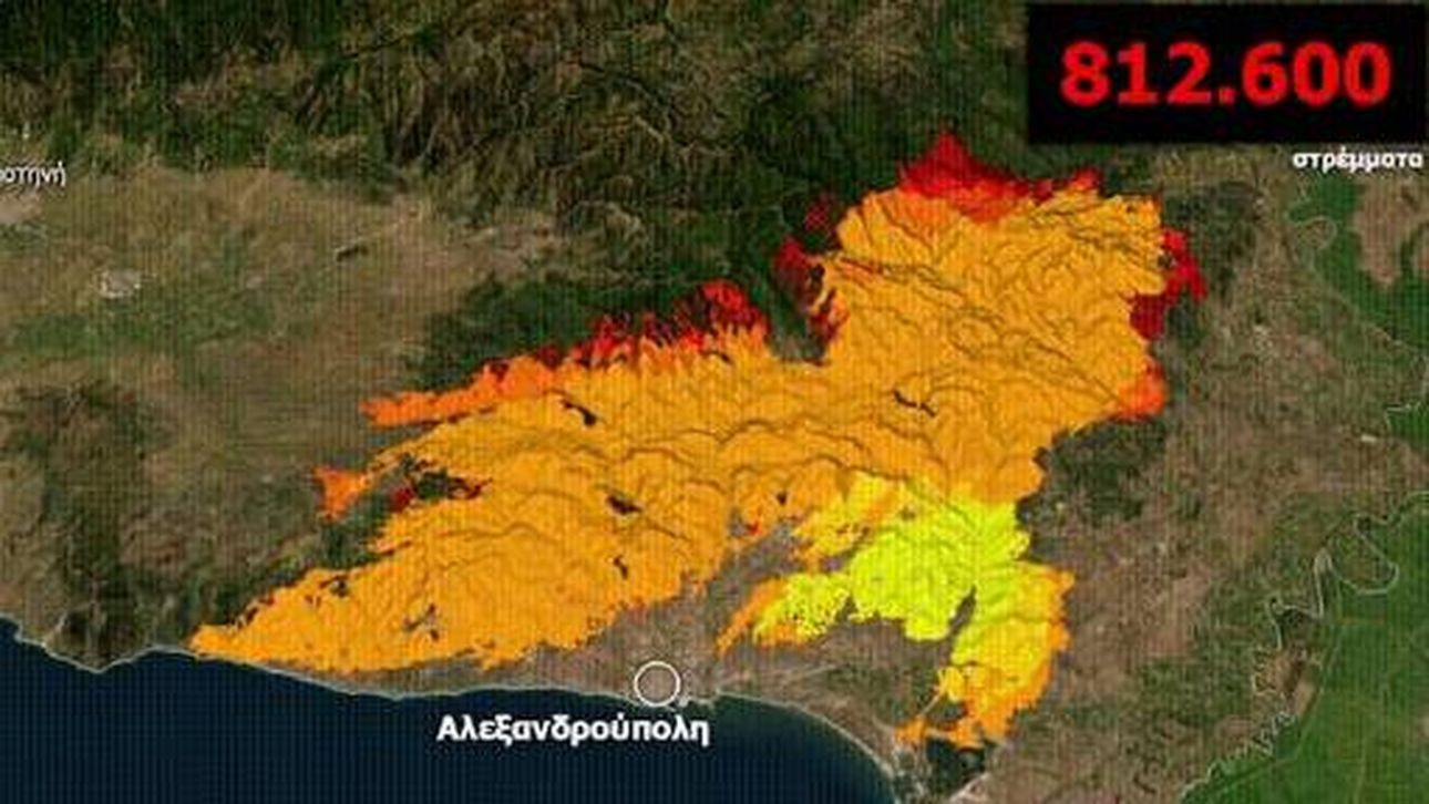 Η φωτιά «καταπίνει» σταδιακά το δάσος στον Έβρο: Η καταστροφή μέρα ...