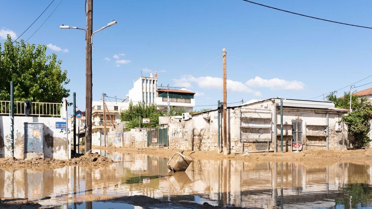 Θεσσαλία: Ξεπέρασαν τις 15.000 οι οριστικές αιτήσεις στο arogi.gov.gr ...