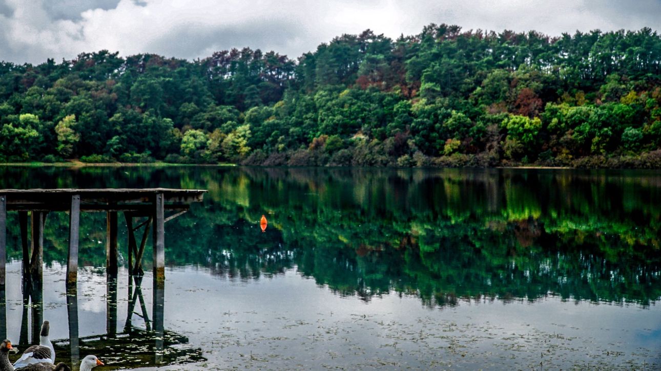 Περιοχές Natura: Τι σηματοδοτεί η έγκριση της Ειδικής Περιβαλλοντικής ...