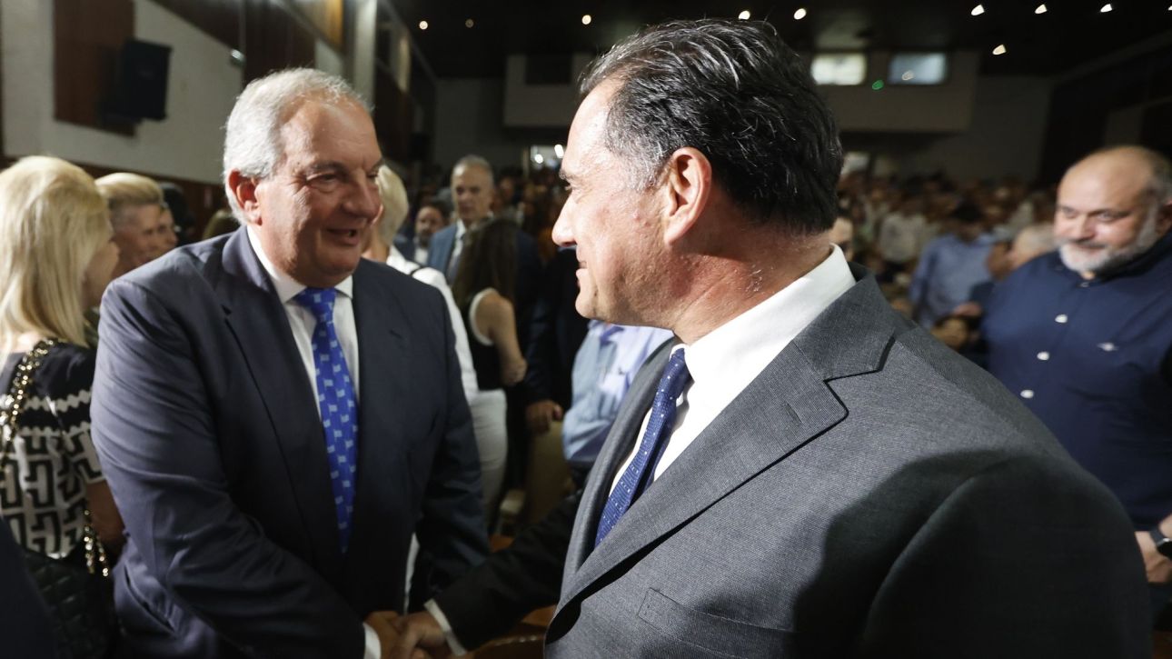 Γεωργιάδης: «Ο Καραμανλής είναι η ΝΔ, δεν χρειάζεται ιδιαίτερη ...